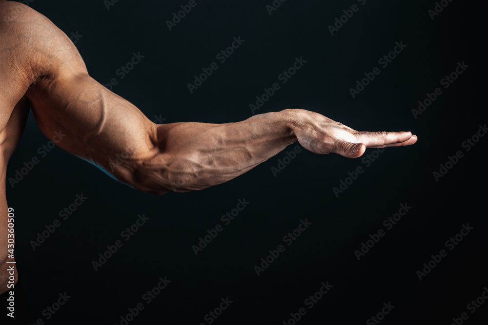 tense arm, veins, bodybuilder muscles on a dark background, isolate ...