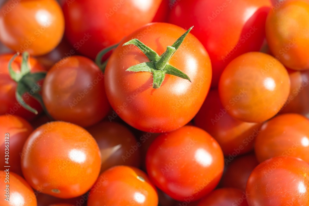 Bunch of tasty juicy fresh red bio tomatoes from above. Group of ...