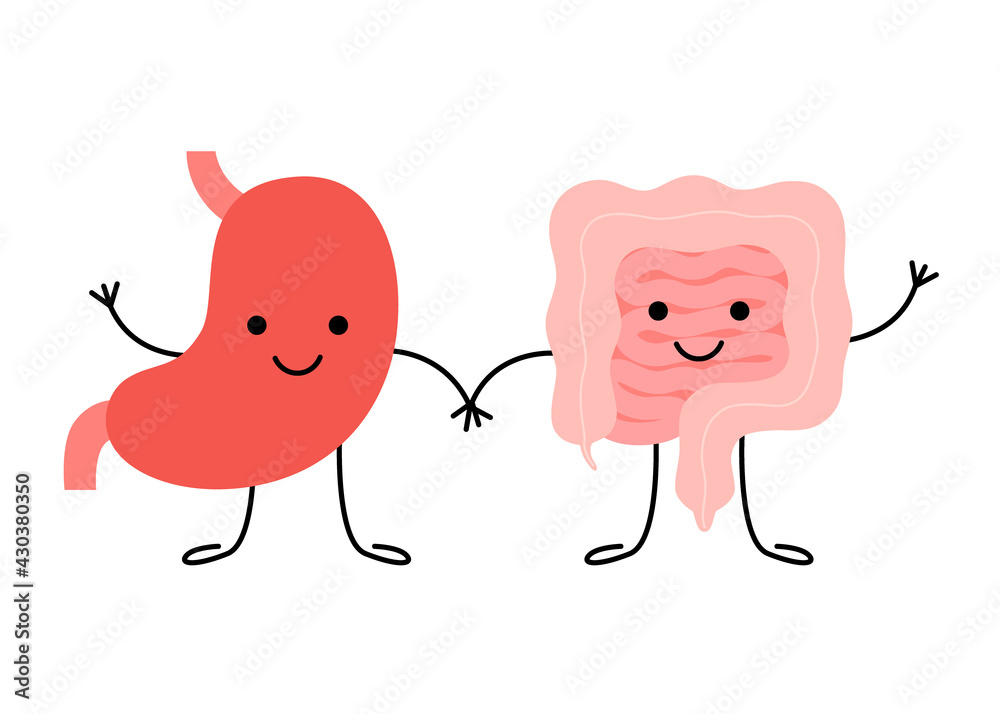 Digestive cute healthy happy stomach and intestine gut characters ...