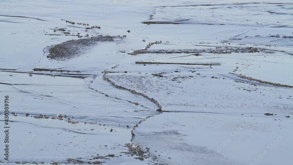 The thin ice sheet split into many ice floes. Faint waves shake them ...
