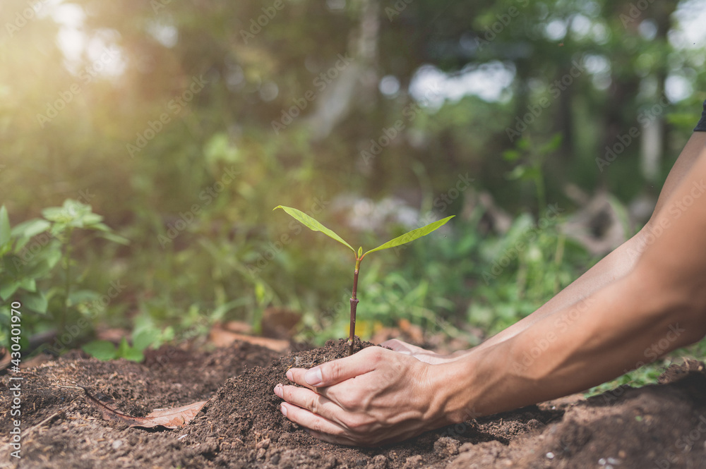 World Environment Day, Planting trees and love the environment, love ...