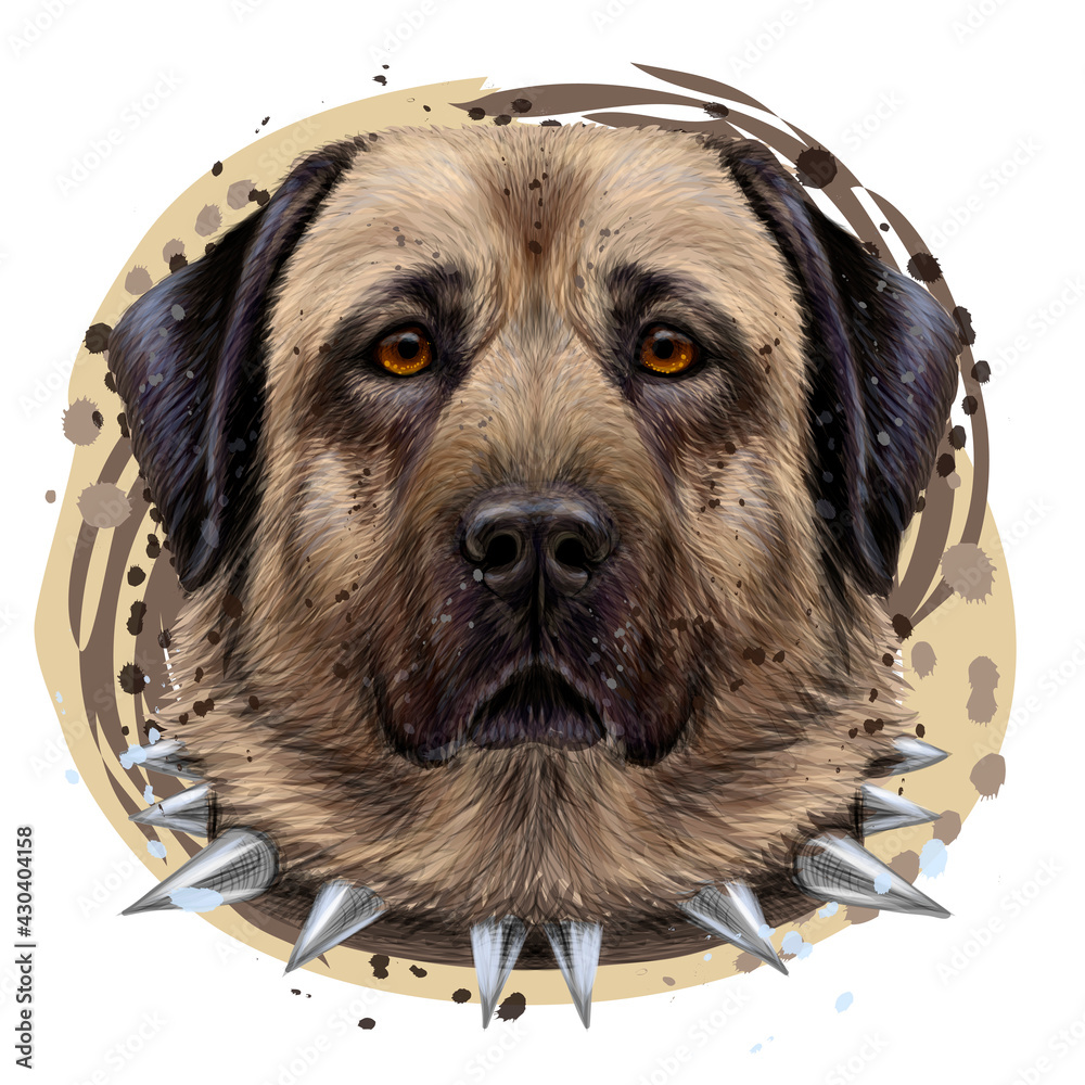 Kangal dog. Color, graphic portrait of an Kangal dog in watercolor ...