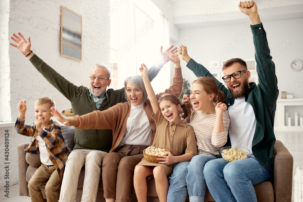Family Watching Football