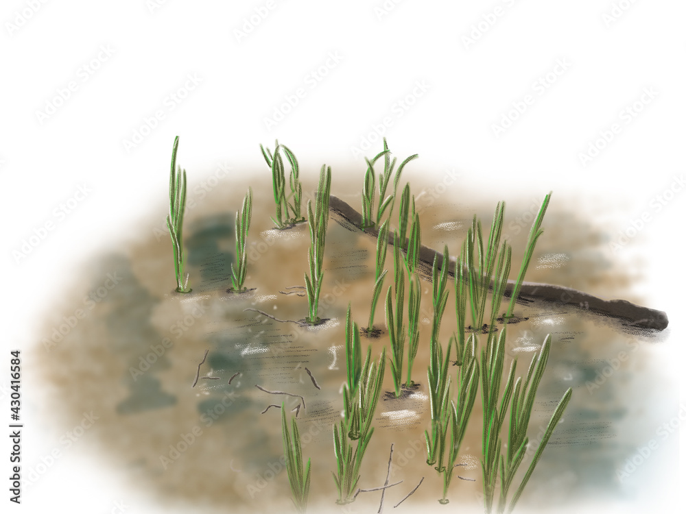 biotop, habitat, biotope Stock Illustration | Adobe Stock