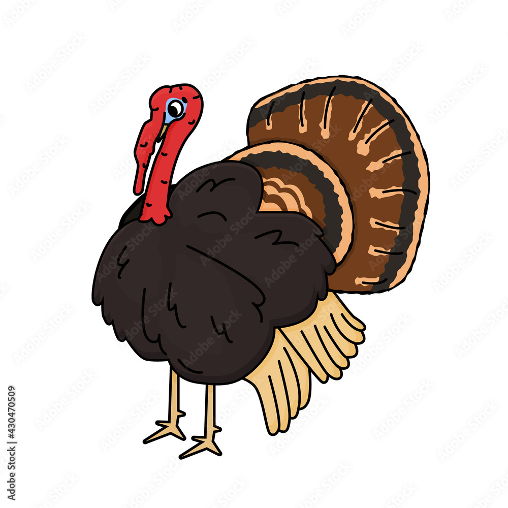 Vector cartoon outline male turkey. Doodle isolated hand drawn animal ...