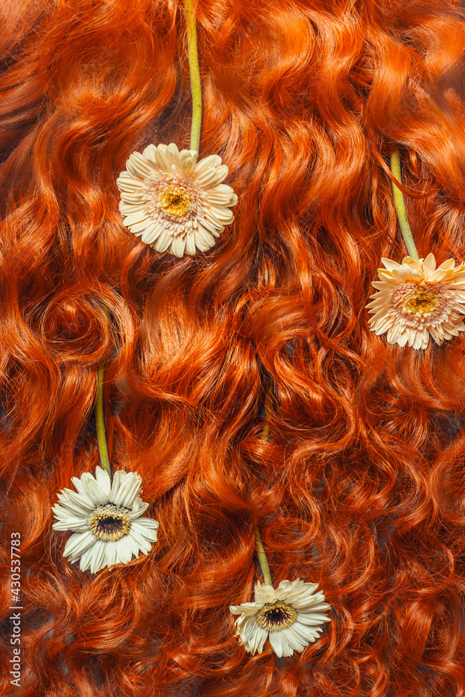 Beautiful curly red hair texture with daisies flowers. Top view. Hair ...