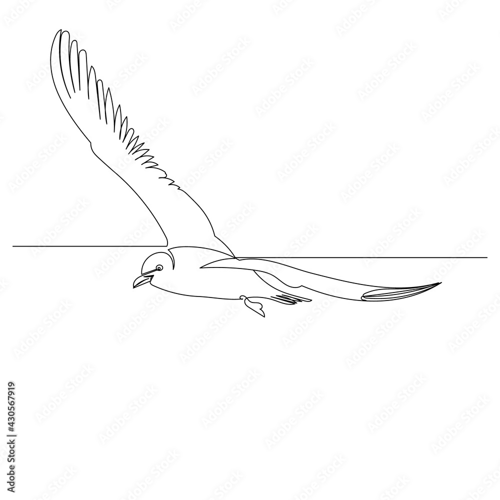 vector, isolated, one line drawing of a flying bird Stock Vector ...