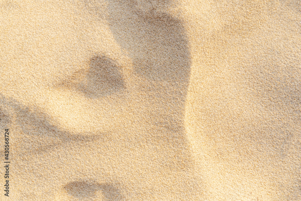 Sand texture background on the beach. Light beige sea sand texture ...