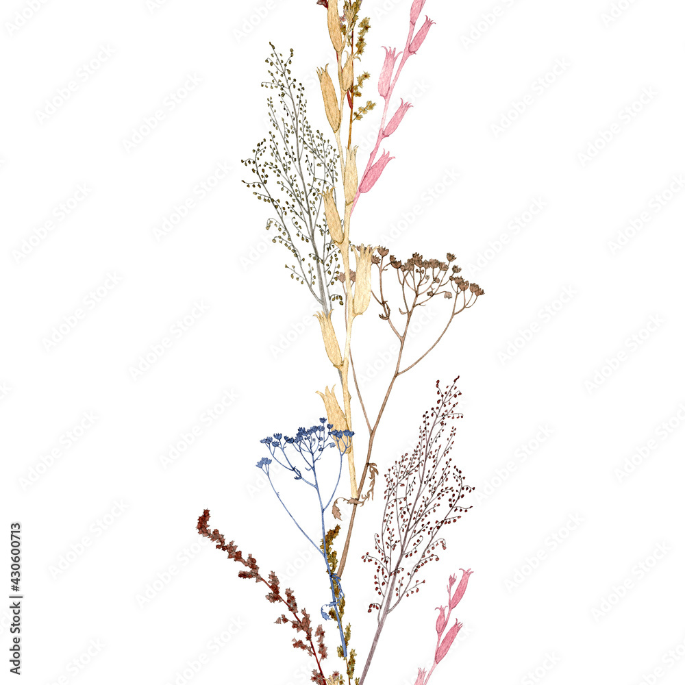 Seamless vertical border dry wild flower branches. Pattern from a ...