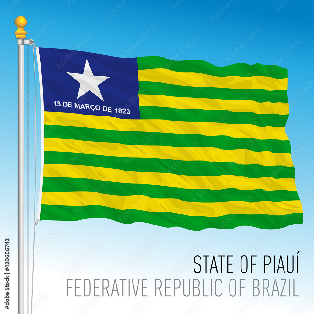 State of Piaui, official regional flag, Brazil, vector illustration ...