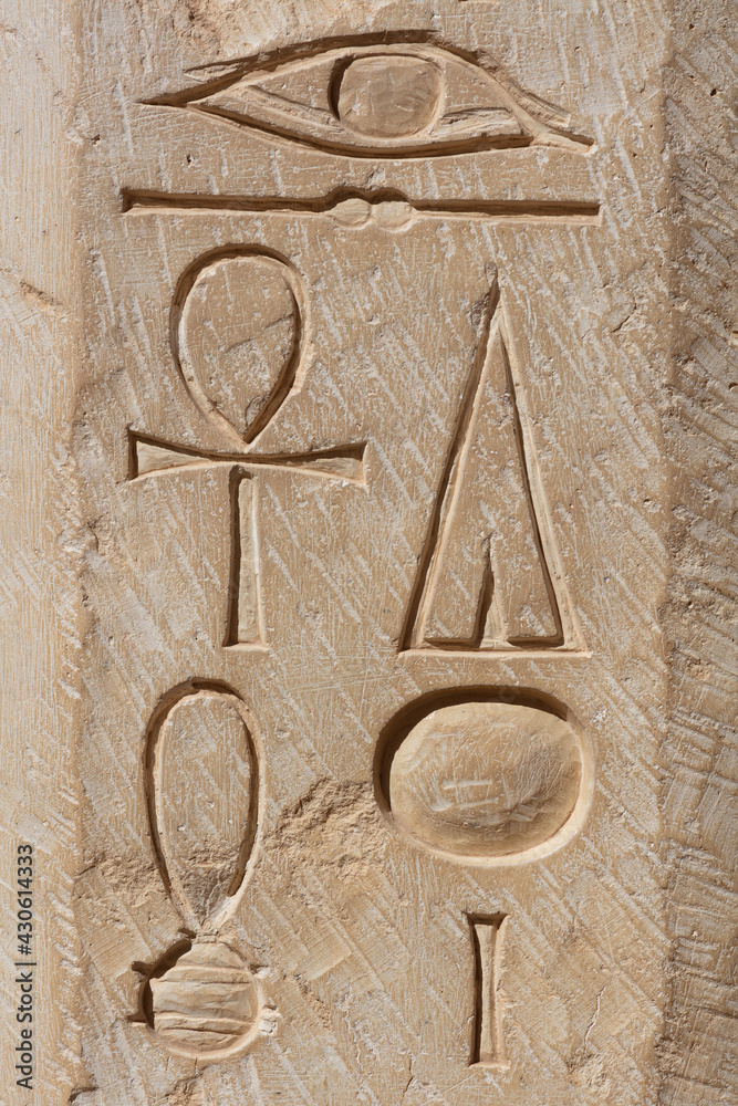 Engraved figure on the ancient wall in the Hatshepsut Temple, egyptian ...