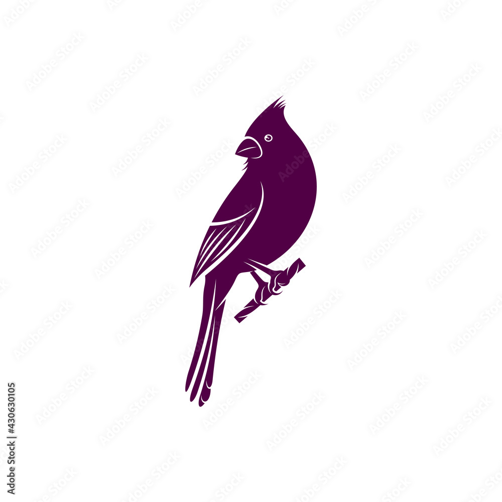 Northern Cardinal bird design vector illustration, Creative Northern ...