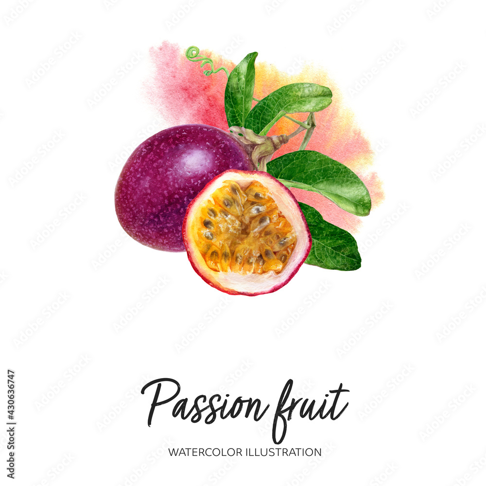 Passion Fruit Watercolor Illustration Isolated On Splash Background
