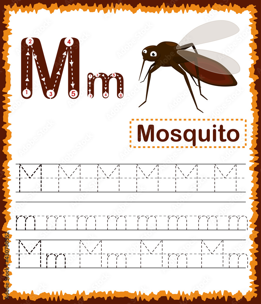 Vector illustration of exercises with cartoon vocabulary for kids ...