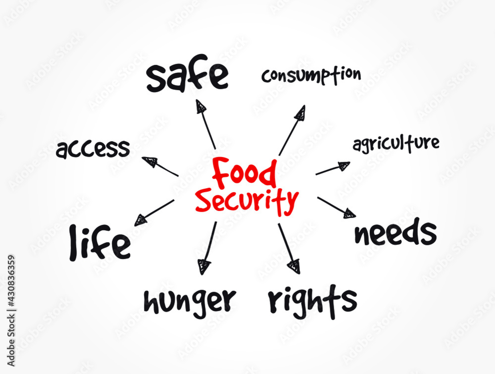 Food Security mind map, concept for presentations and reports Stock ...