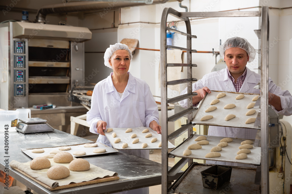 Fine baker placing tray with formed raw dough on rack trolley for ...