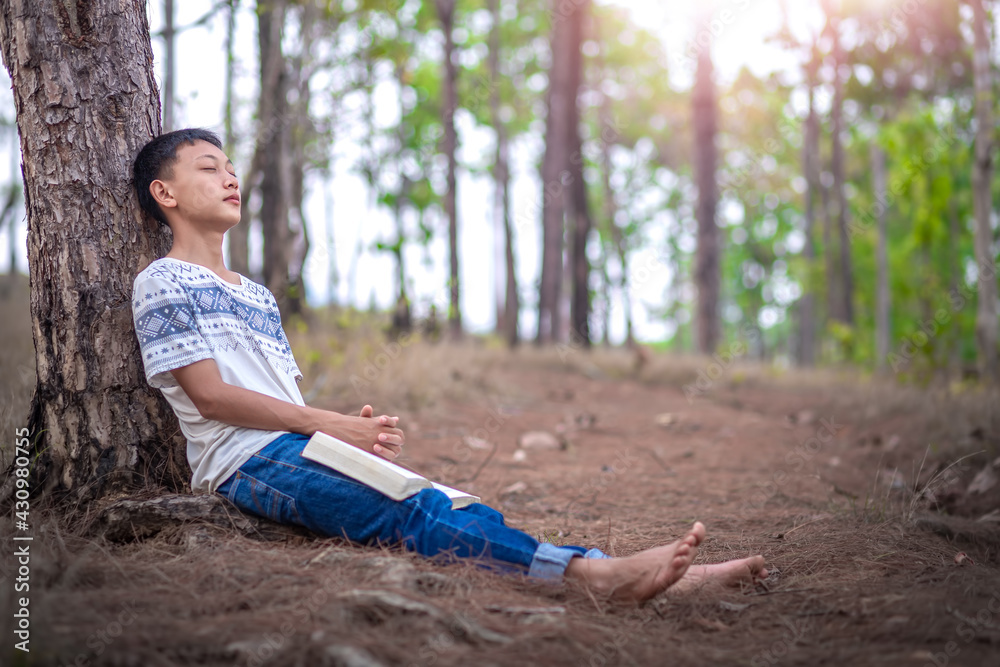 Christian boy sitting and praying with Bible under the tree in forest ...