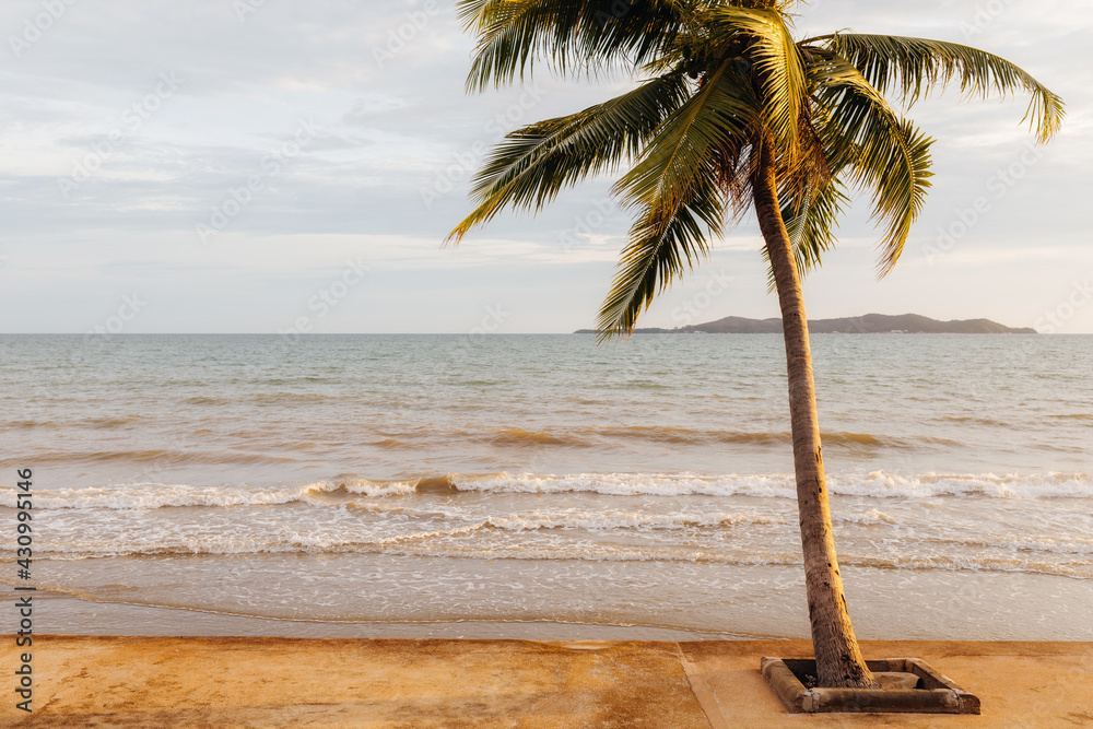Coconut tree and sea in Suan Son Beach, Rayong, Thailand. Stock Photo ...