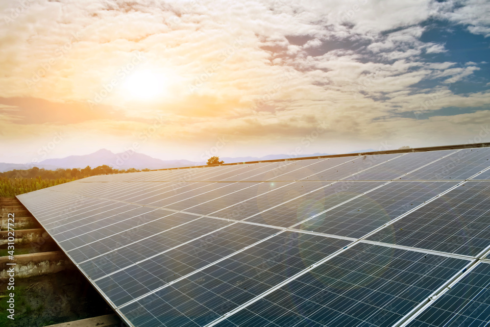 Foto de Photovoltaic panels installed on cement beams that farmers had ...