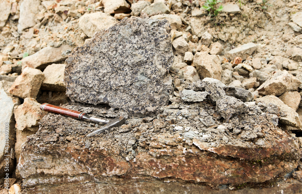 Geologists hammer on phosohorite - Geological Fieldwork. geologist's ...