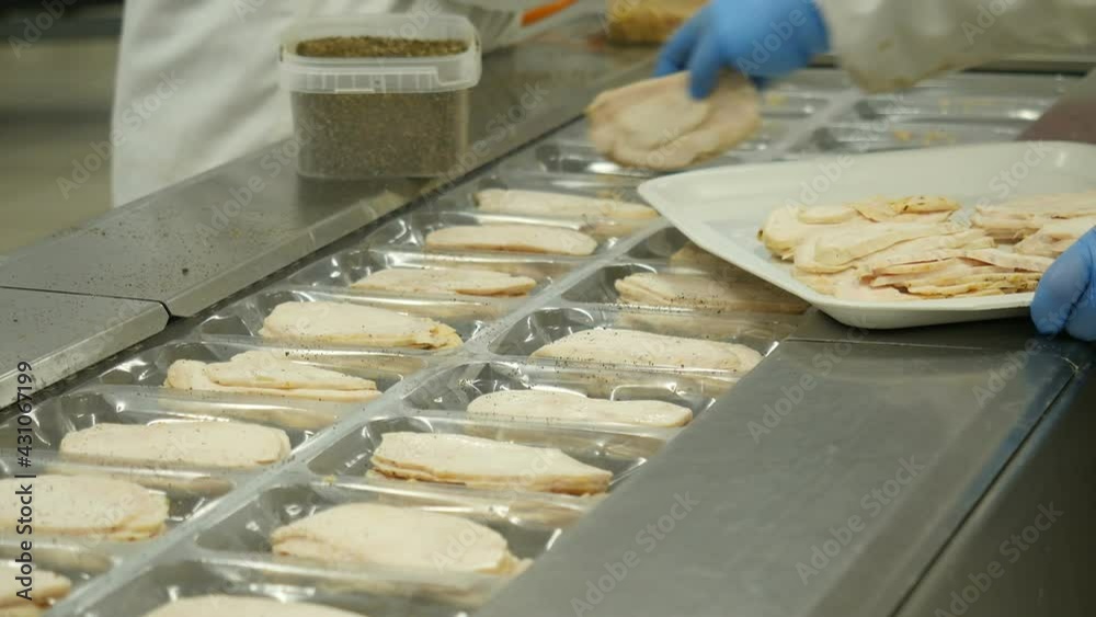 Poultry processing plant line. Production of chicken meat. Workers ...