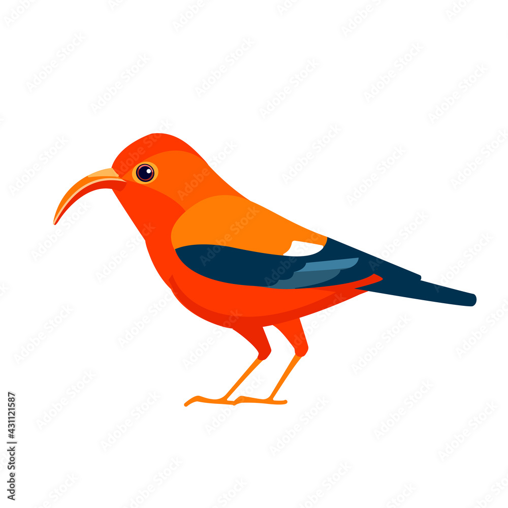 Red bird iiwi Hawaiian honeycreeper. Endangered birds cartoon flat ...