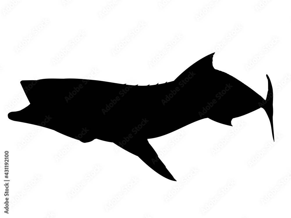 Silhouette of a Cobia Fish Stock Illustration | Adobe Stock
