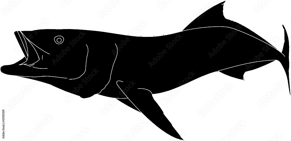 Outline Silhouette of a Cobia Fish Stock Vector | Adobe Stock