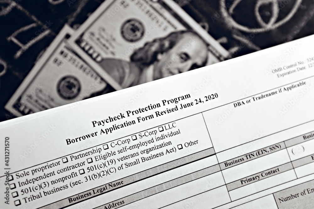 selective focus monochrome photo of paycheck protection program borrower application form ...