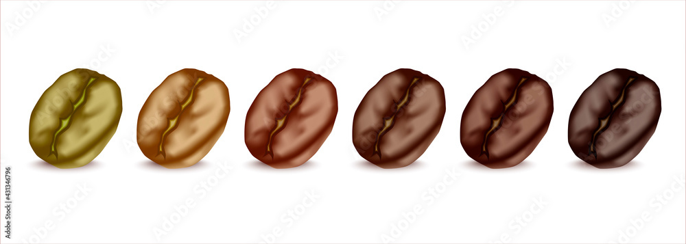 Coffee beans realistic set showing various stages of roasting. Raster ...
