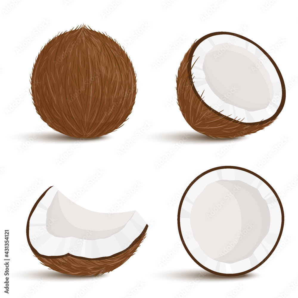 Set of exotic whole, half, cut pieces of coconut fruit isolated on ...