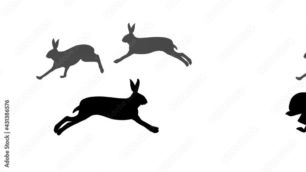 Running hares, animation on the white background (seamless loop) Stock ...