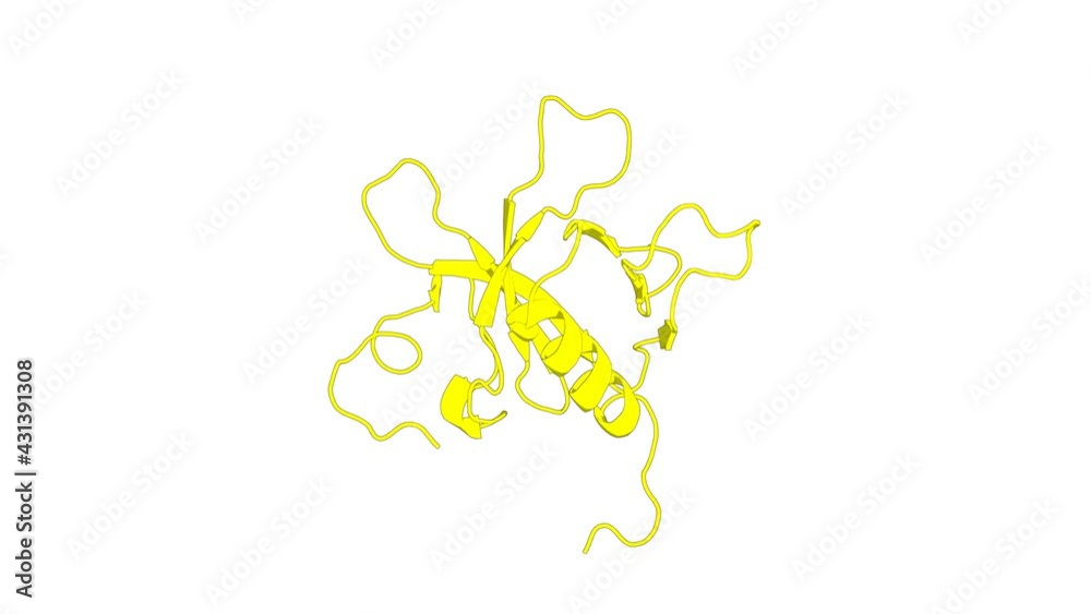 360º realistic 3D rendering of an animated biological molecule over a ...