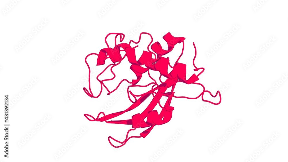 360º realistic 3D rendering of an animated biological molecule over a ...