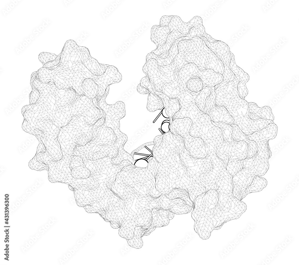 3D rendering as a line drawing of a biological molecule ...