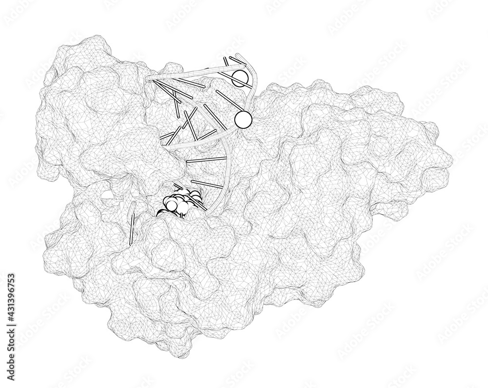 3D rendering as a line drawing of a biological molecule. Structure and ...