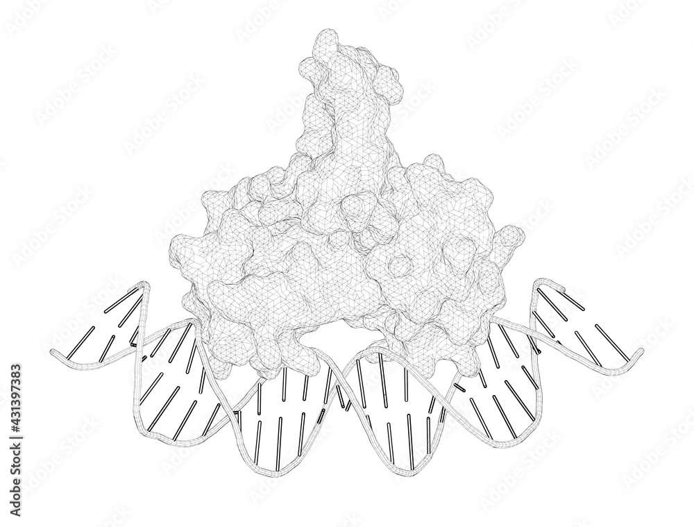 3D rendering as a line drawing of a biological molecule. The shape of ...