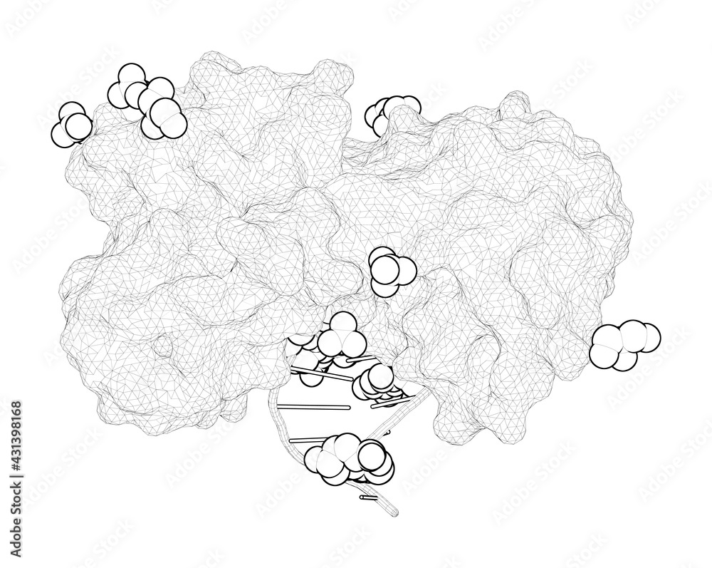 3D rendering as a line drawing of a biological molecule. Structural ...