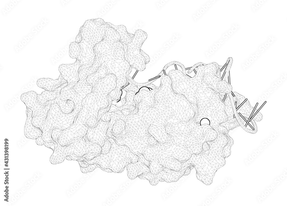 3D rendering as a line drawing of a biological molecule. Unveiling the ...