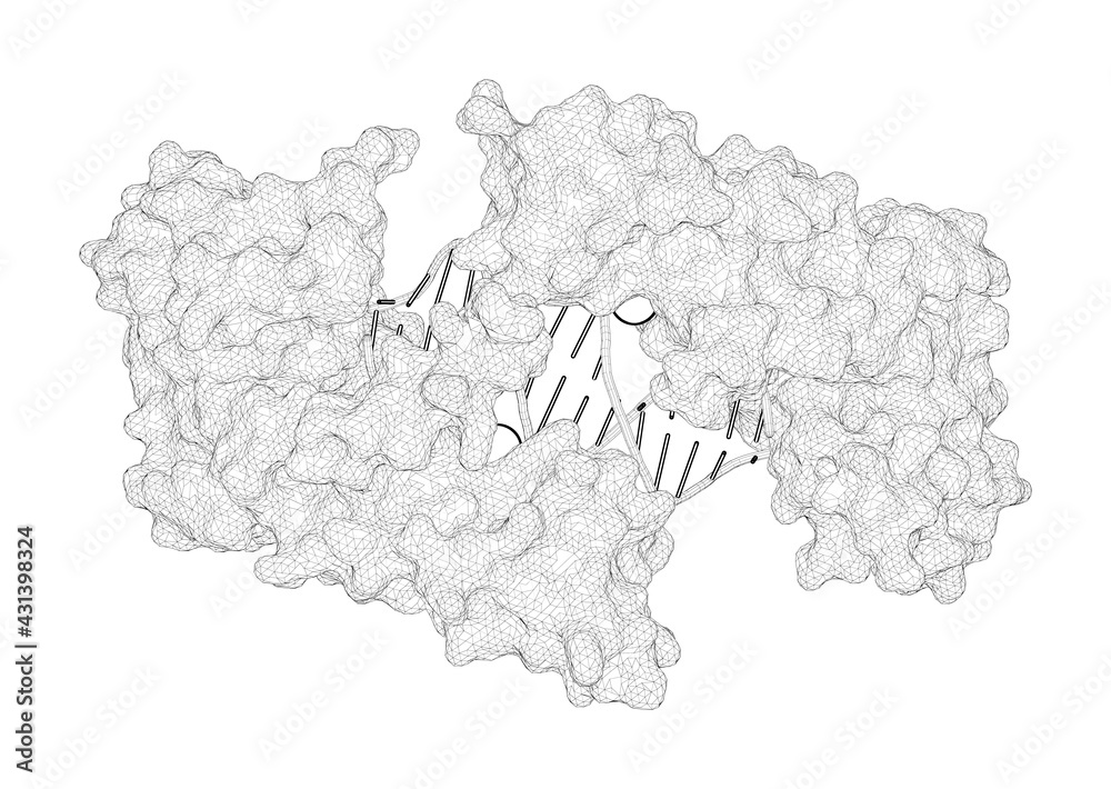 3D rendering as a line drawing of a biological molecule. Crystal ...