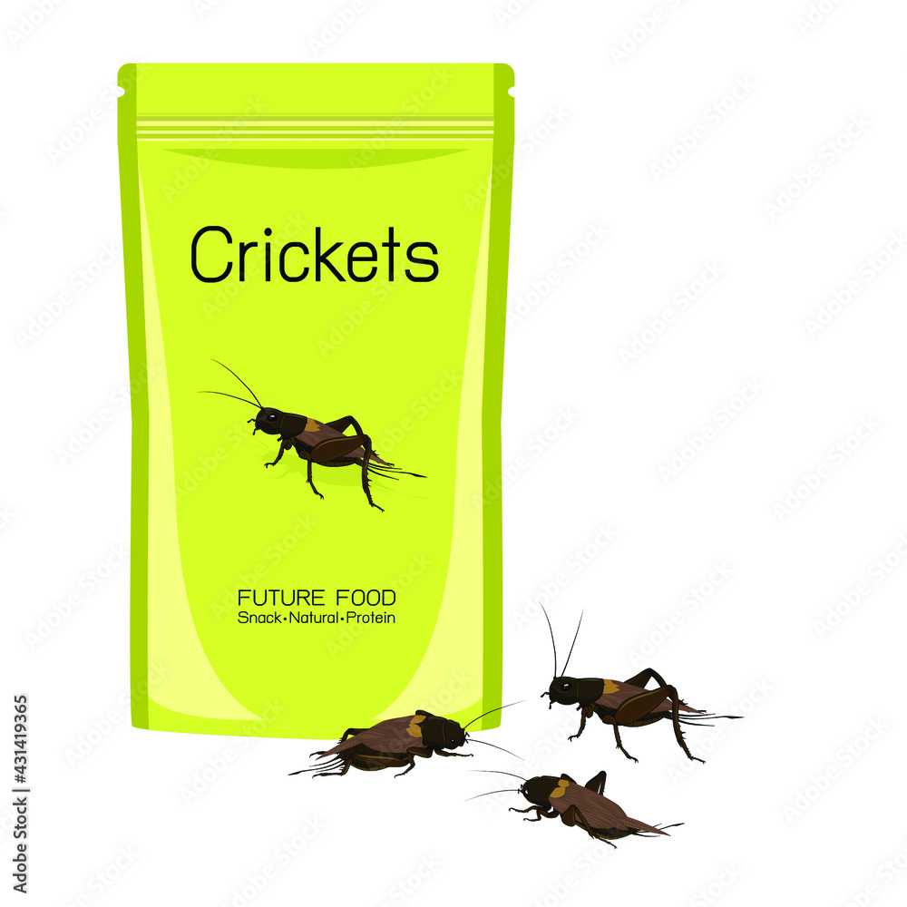 Crickets insects deep-fried crispy in packaging snack pouch wrapper ...