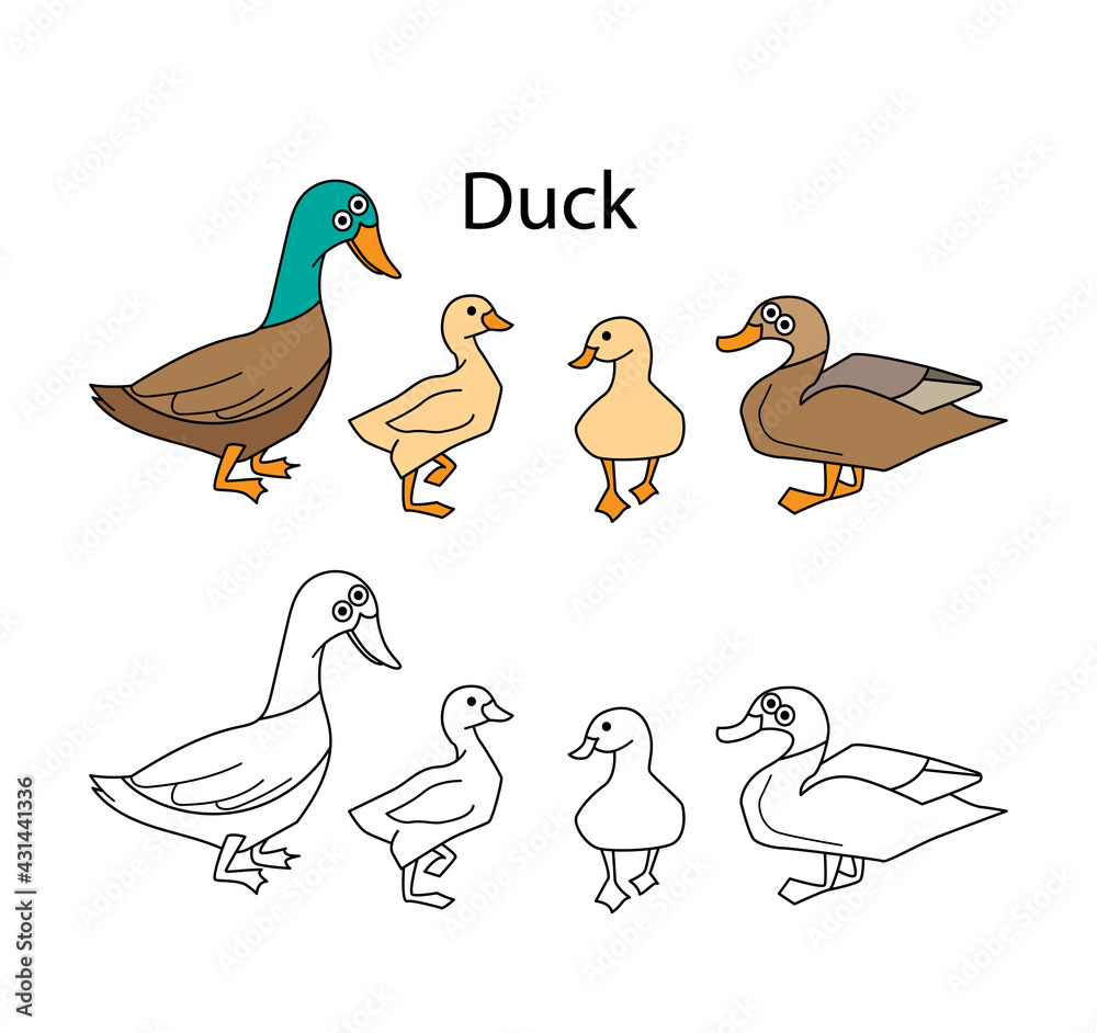 Funny cute birds ducks isolated on white background. Linear, contour ...