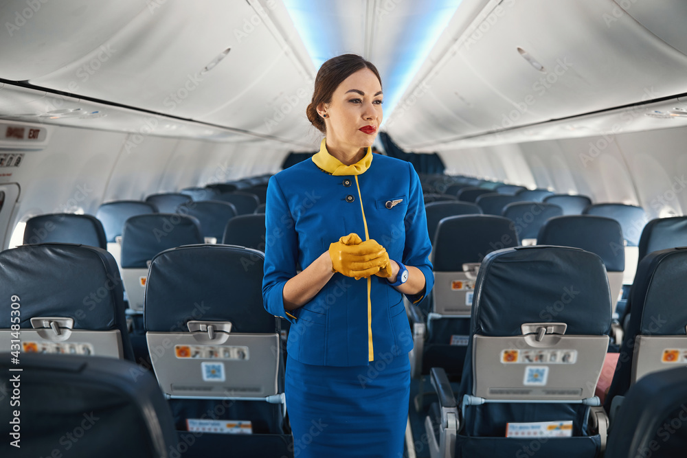 Beautiful Caucasian air hostess standing calmly in the plane Stock ...