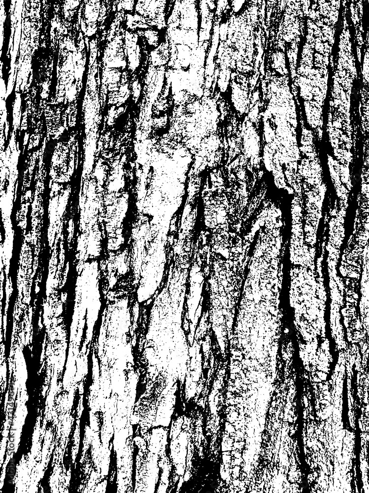Grunge tree bark texture. Distressed overlay texture. Black and white ...