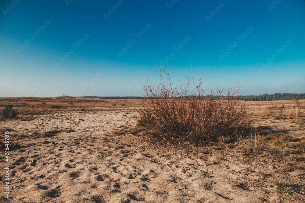 Bledow desert (pustynia bledowska) biggest sand desert in Silesia ...