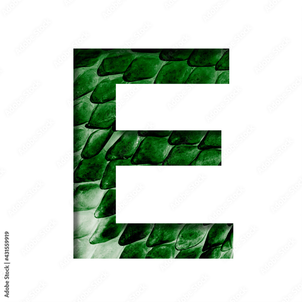 Dragon skin font. The letter E cut out of paper on the background of ...