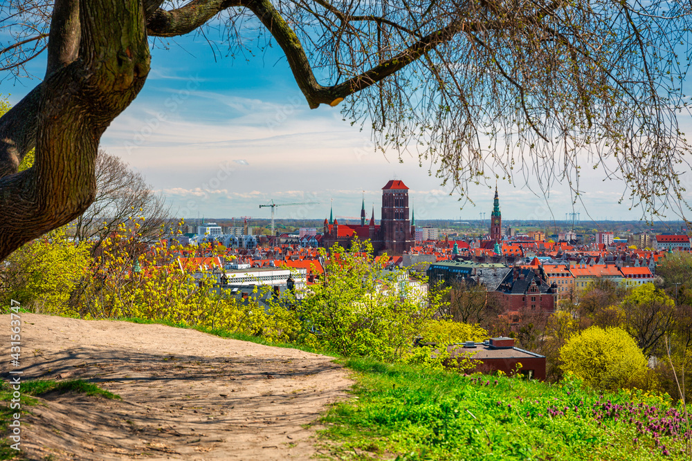 Spring scenery of the old town in Gdańsk around blooming trees. Poland ...