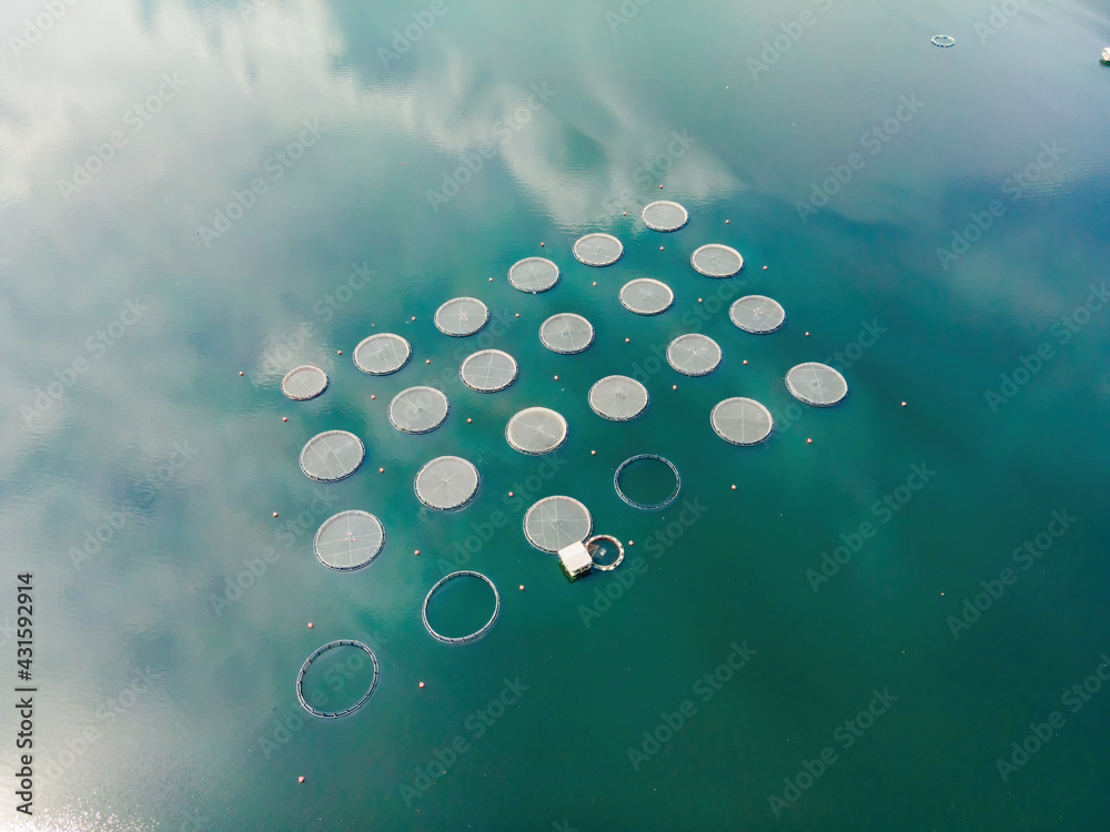Aerial top down view over a fish farm with lots of fish enclosures on ...