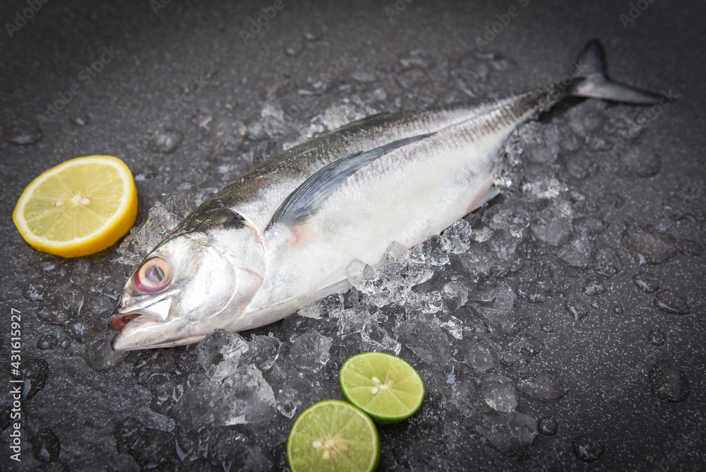 mackerel scad, Fish on ice for cooking food in the restaurant, Fresh ...