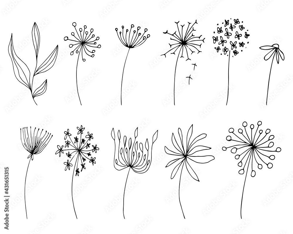 Continuous Line Drawing Hand Drawn Set Of Simple Flowers Black Sketch ...